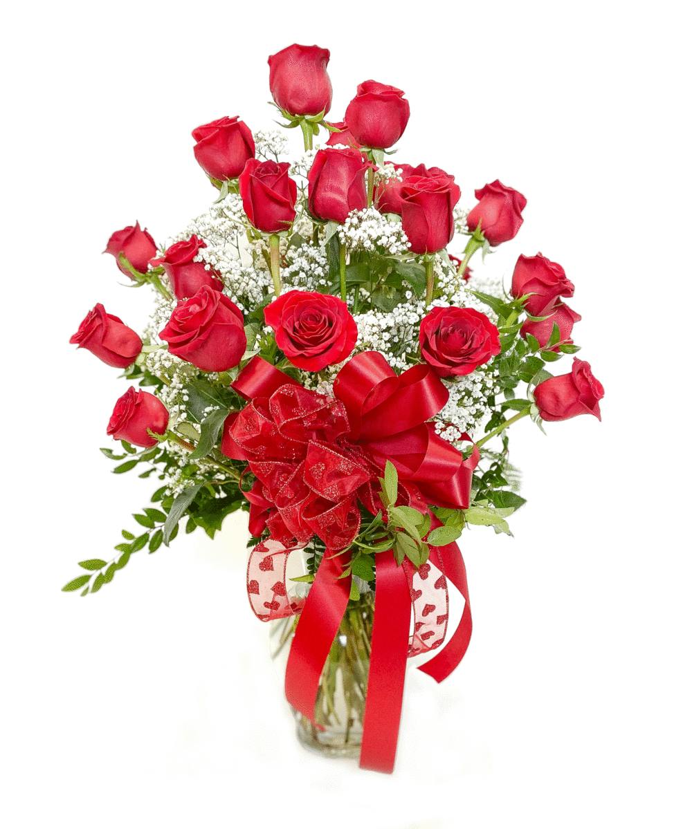 Two Dozen Premium Long-Stem Roses | Salisbury (MD) Floral Delivery ...
